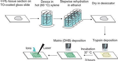 Figure 1 From A Novel Method For Analyzing Formalin Fixed Paraffin Embedded Ffpe Tissue