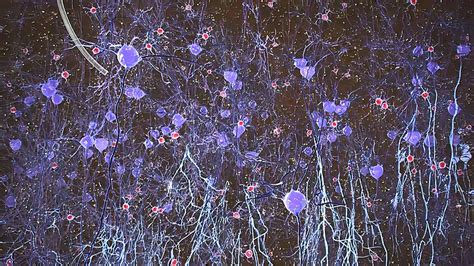 Microglial Background Images Hd Pictures And Wallpaper For Free Download Pngtree