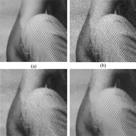 Pdf A New Nonlocal Total Variation Regularization Algorithm For Image Denoising