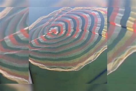 牛人撒网，个个身怀绝技