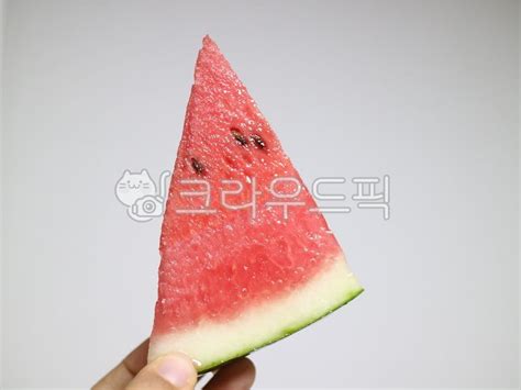 수박 여름과일 수박조각 Watermelon 빨간과일 사진 이미지 일러스트 캘리그라피 Sister작가
