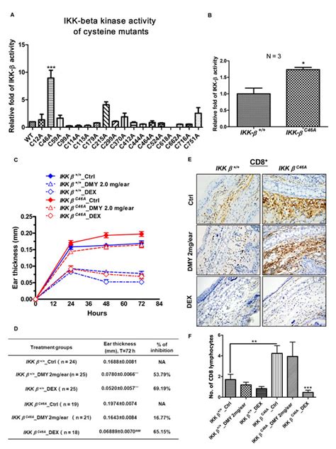 Mutation Of Cysteine 46 In Ikk Beta Increases Inflammatory Responses Oncotarget
