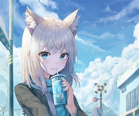 Blue Archive Hd Sunaookami Shiroko Hd Wallpaper Rare Gallery