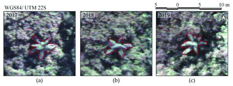 The Spatial Difference In The Leaves Of One Sample Of Sr Tree In Each