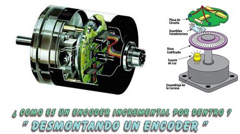 Que Es Un Encoder At Austin Bavister Blog
