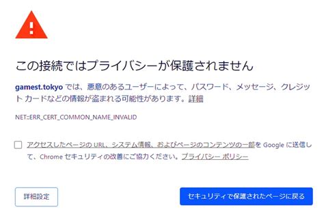 ネームサーバー設定お名前ドットコムからXサーバーへ変更する方法