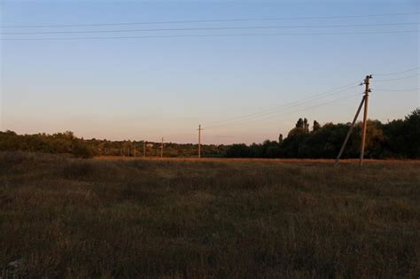 Premium Photo A Field With Power Lines And Trees