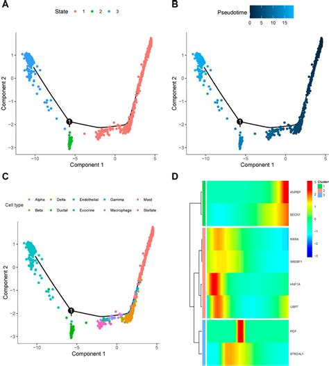 Frontiers Integrating Mendelian Randomization And Single Cell Rna Sequencing To Identify