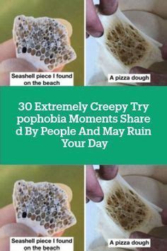 Extremely Creepy Trypophobia Moments Shared By People And May Ruin Your Day Trypophobia In