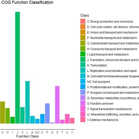 Clusters Of Orthologous Group Function Classification The Y Axis