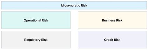 Idiosyncratic Risk Definition Examples
