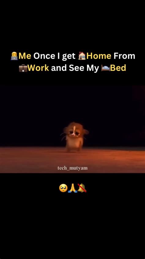 Software Memes Manager Be Like Hyderabad Software Telugu