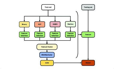 Flowchart Showing The Construction Of This Model The Feature