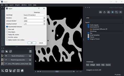 Using Bonej2 — Napari Imagej Documentation