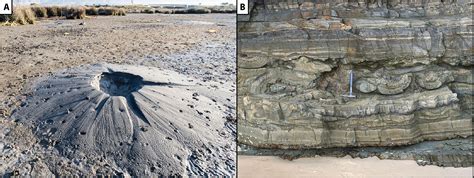2 4 Gravity Mass Movements Geosciences Libretexts