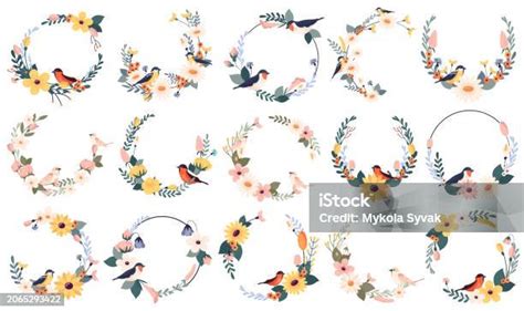 라운드 우아한 낭만적 인 꽃 프레임 아름 다운 조류 고립 세트 벡터 일러스트 레이 션 0명에 대한 스톡 벡터 아트 및 기타 이미지 0명 개체 그룹 구도 Istock