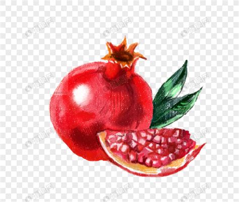 석류 Png 일러스트 무료 다운로드 Lovepik
