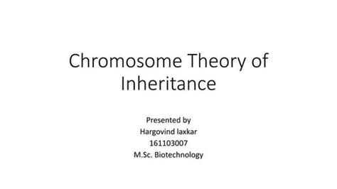 Chromosomal Theory Of Inheritance Ppt