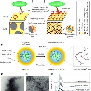 A Mechanistic Illustration Of The Influence Of Particle Size Of Download Scientific Diagram