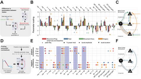 results of the motor cortex model fits to ecog data from motor tasks