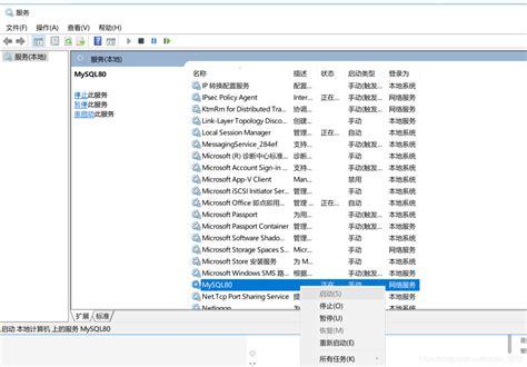 安装navicat Premium 12 时出现 2003 Cant Connect To Mysql Server On Localhost 10061 Unknown Error的问题