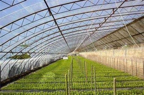 日光温室内的除湿措施具体有哪些 湿度
