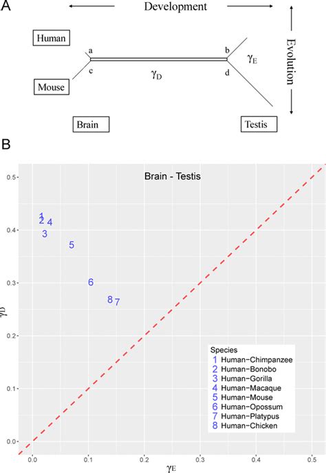 TreeExp1 0 R Package For Analyzing Expression Evolution Based On RNA Seq Data RNA Seq Blog