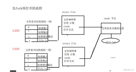 Linux文件操作应用及open和forkfork Open Csdn博客