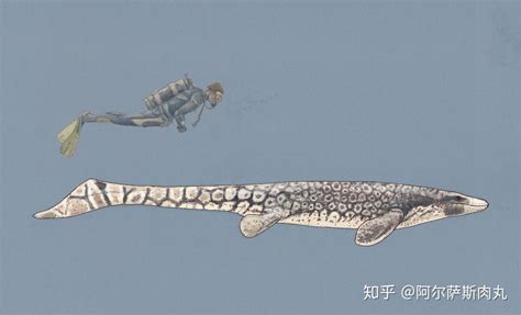 Legend of Cretaceous丨白垩传 4沧海沉浮下龙游四海 知乎