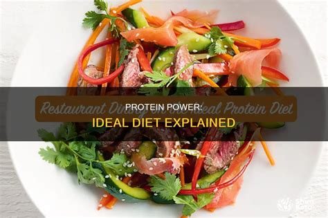 Protein Power Ideal Diet Explained Shunketo