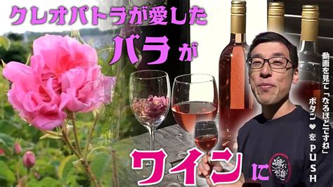 楽天市場ybc 山形村山市特産のバラを使ったワインづくり