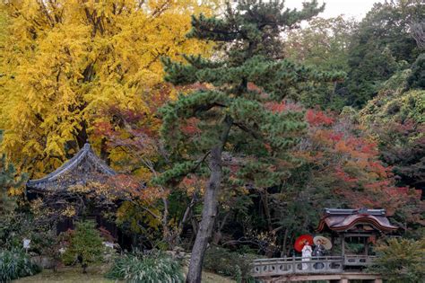 三渓園にて GANREF