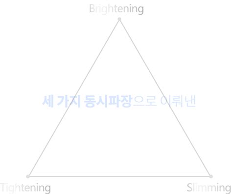 시술상세레이저 리프팅티타늄
