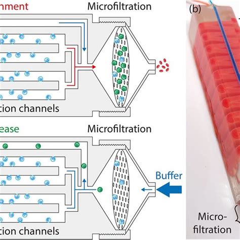 The Design And Operation Principle Of The 3d Printed Microfluidic