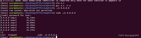 用C语言实现ping命令 CSDN博客