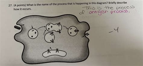 Solved 4 ﻿points ﻿what Is The Name Of The Process That Is