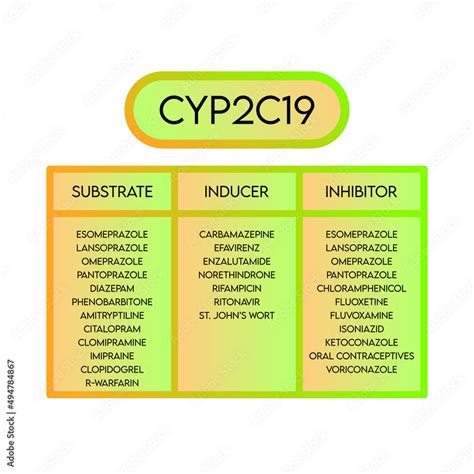 Cyp2c19 Cytochrome P450 Enzyme Pharmaceutical Substrates Inhibitors