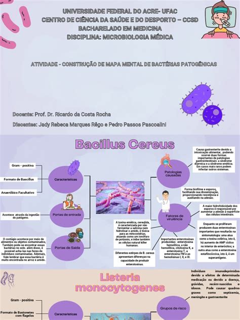 Mapa Mental Microbiologia Pdf