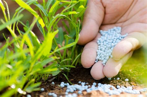 How To Export Nitrogenous Fertilizers From Nigeria The Complete Guide