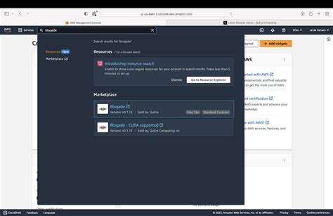 Getting Started How To Access Aquila And Bloqade Through Amazon Braket