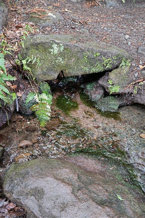 神社日和 on Twitter 大滝湧水は日本名水百選に選ばれた山梨の名水の中でも1番のおいしさを誇る湧き水だそうでとにかく豊富に