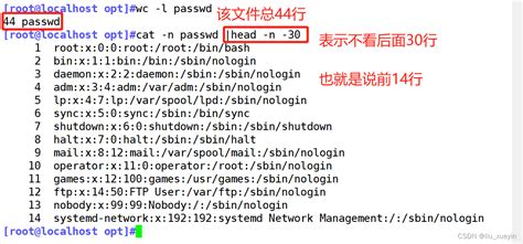 【linux】文本处理常见命令，你都会了嘛？linux文本操作命令 Csdn博客