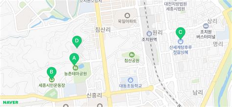 조치원 복숭아축제 세종 물놀이 아이와 가볼만한곳 전통시장 야경 세종시 수영장 네이버 블로그