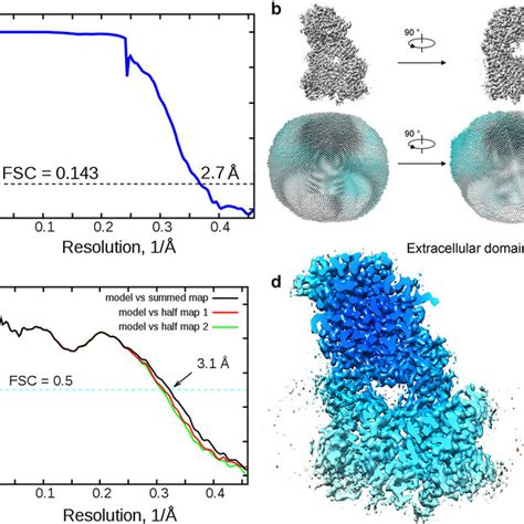 A Flowchart For Cryo Em Data Processing The Final Average Resolution Download Scientific