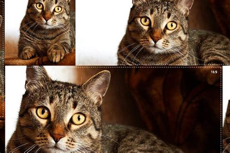 How To Optimize Your Images Part 1 The Srcset Attribute