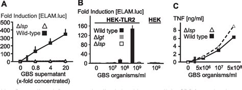 Figure 7 From Uncoupling The Roles Of Hla Drb1 And Hla Drb5 Genes In Multiple Sclerosis