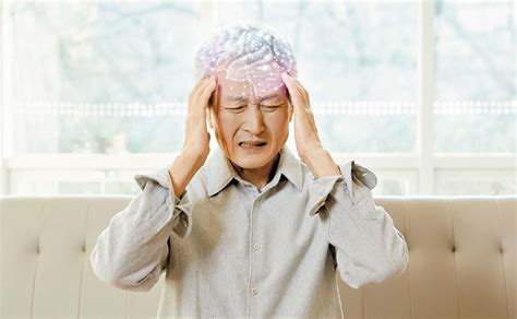 치매 환자 100만 시대 뇌 신경세포막 물질에 주목하라 당신의 건강가이드 헬스조선