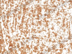 Rust PNG Image PNG All