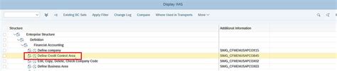 SAP FSCM Credit Check In SAP S HANA