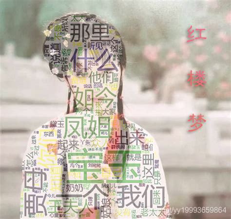 红楼梦词云制作（带背景）王熙凤词云图 Csdn博客